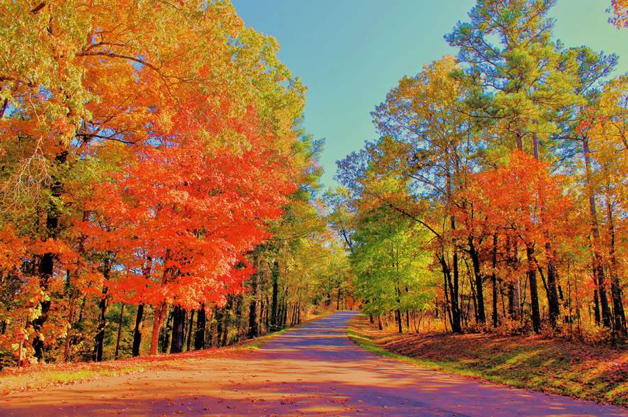 Jeff Busby Park - Natchez Trace - NatchezTraceTravel.com